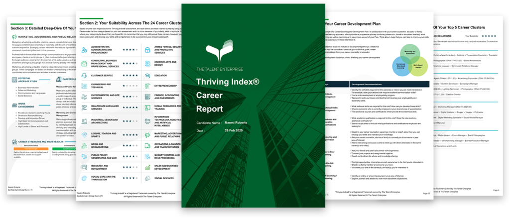 Career Thriving Index - Syngrity Transformation Solutions