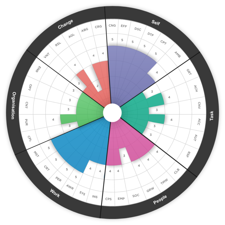 Thriving Index Report - Syngrity Transformation Solutions