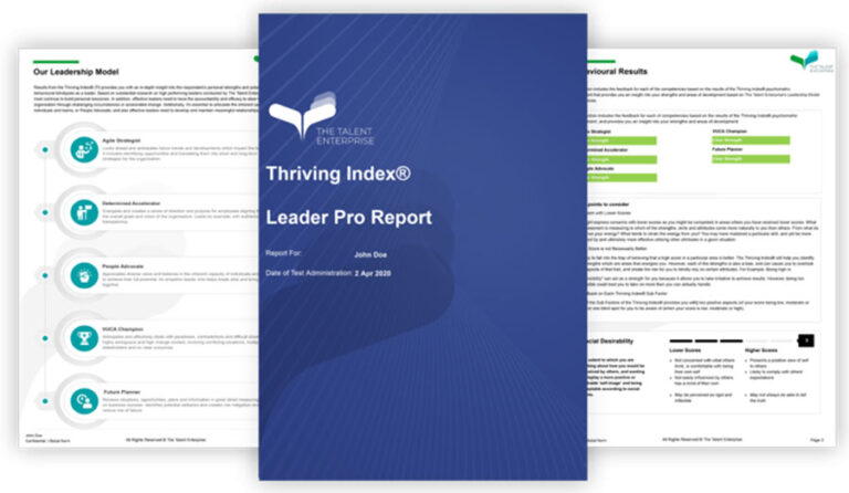 Thriving Index Report - Syngrity Transformation Solutions
